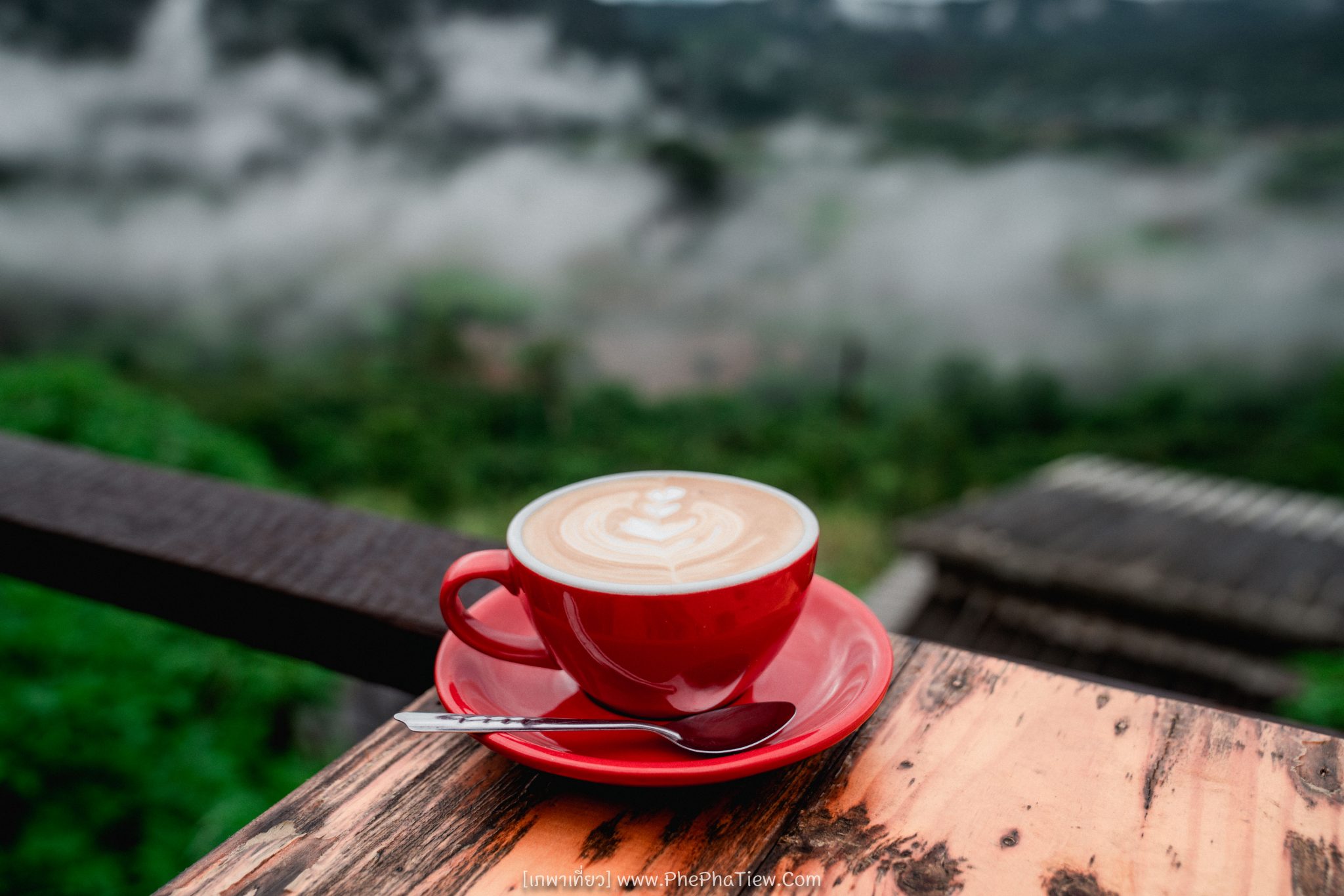 Magic Mountain Home&Cafe - เภพาเที่ยว